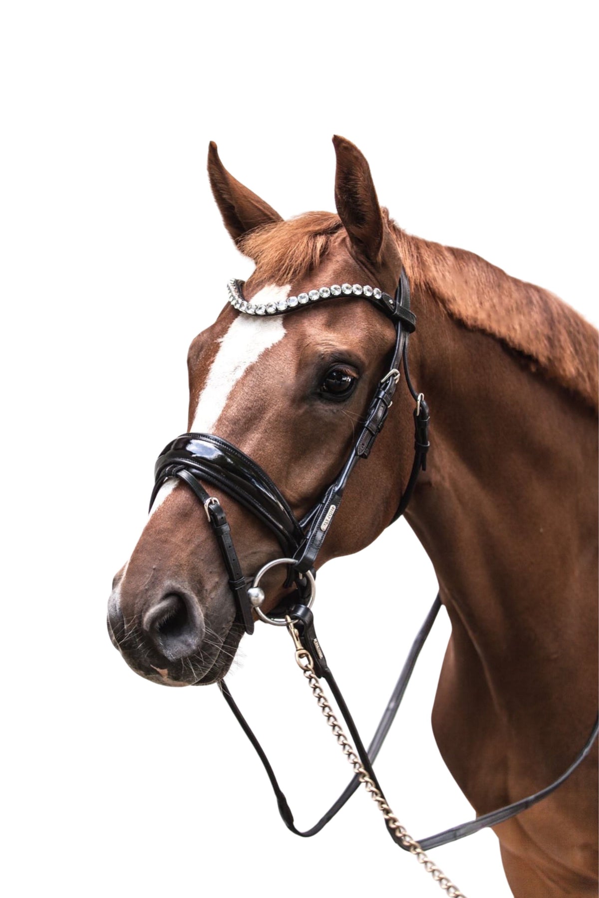 Dressage Bridles | Utzon Equestrian